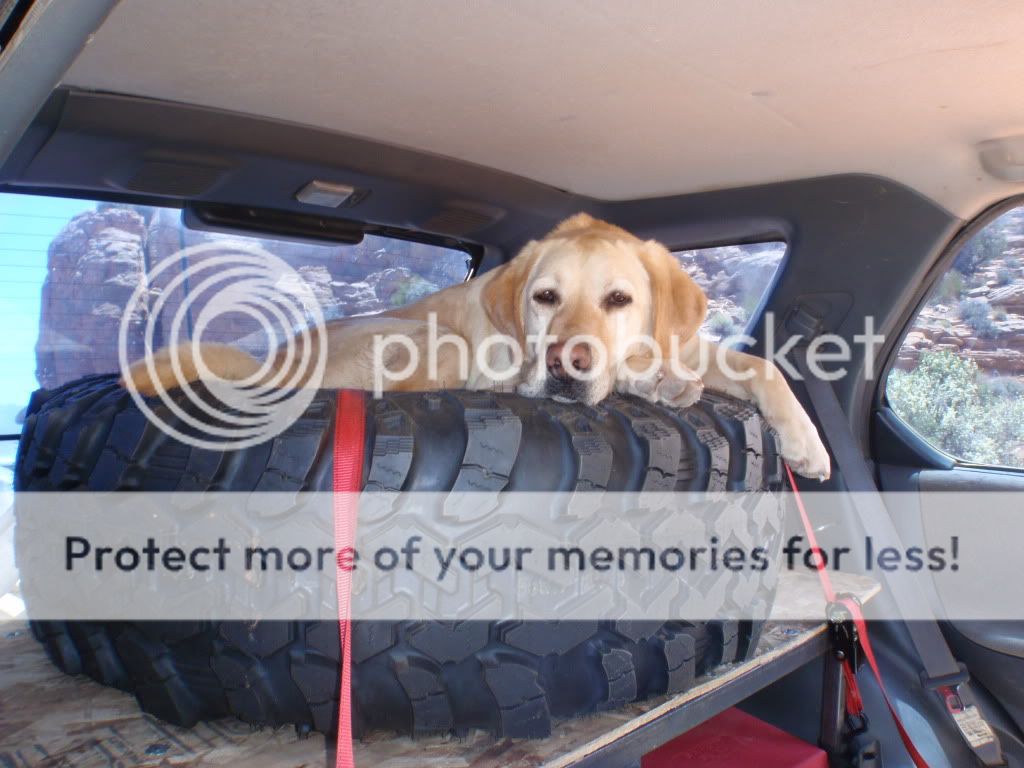 My '98 Rodeo (It is slightly modified) | Isuzu SUV Forum