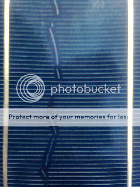 Snail trail contamination of PV panels - Solar PV discussion